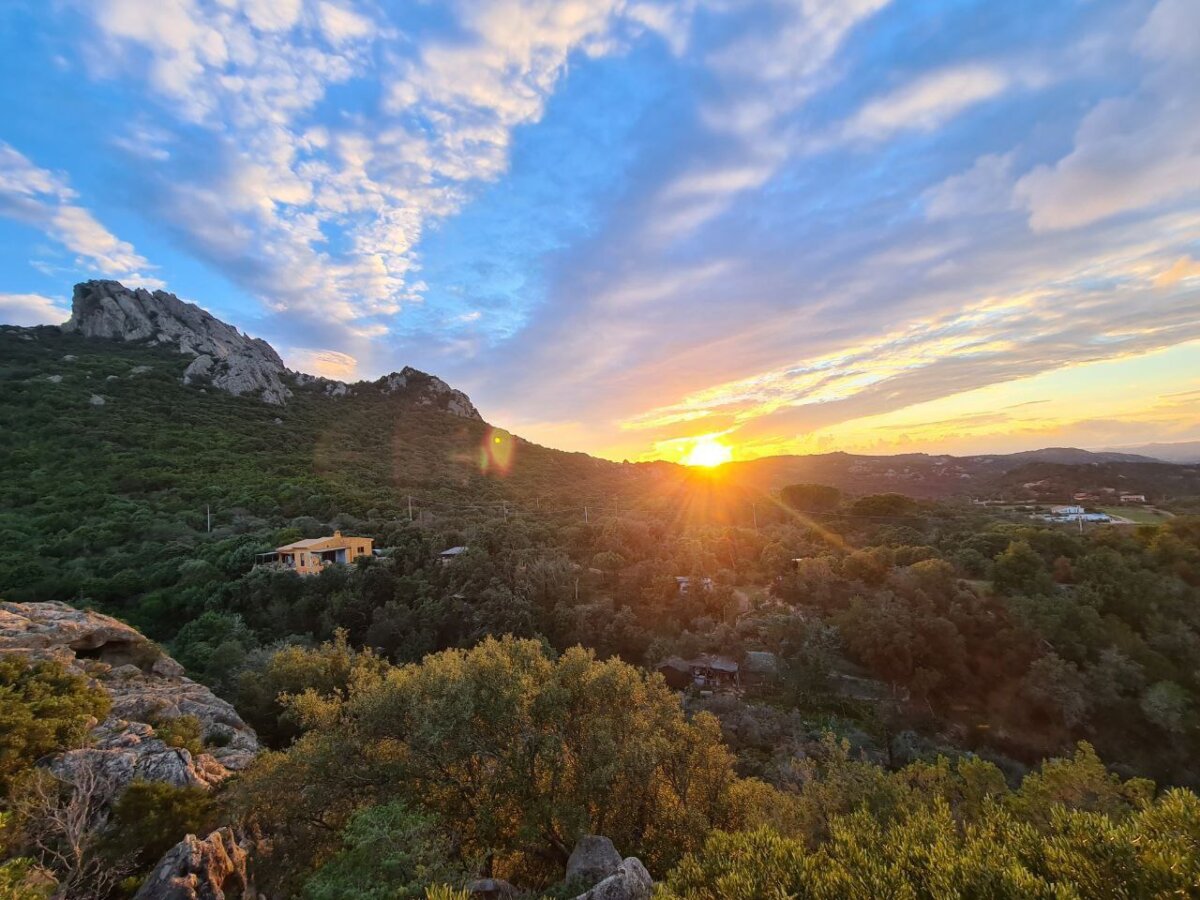 The Wine of Love, summer solstice week of celebration - Sufi Sardegna
